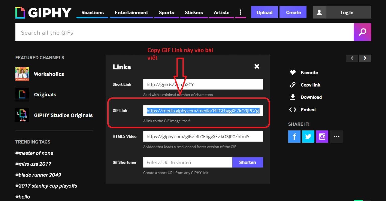 Hướng dẫn cách viết bài cho cộng tác viên (CTV) - CTV viết bài, xNet.vn - xNetVN.com